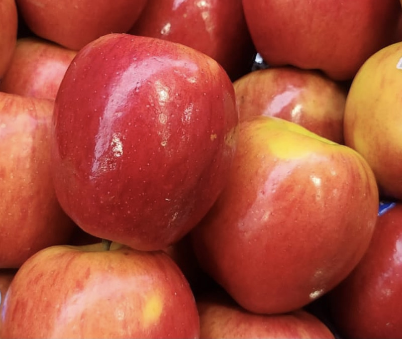HOW TO STORE PRODUCE WHEN IT HAS GAS - Forestway Fresh